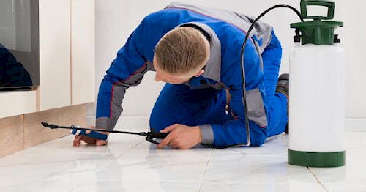 Best Reasons to Hire an Arizona Pest Control Company