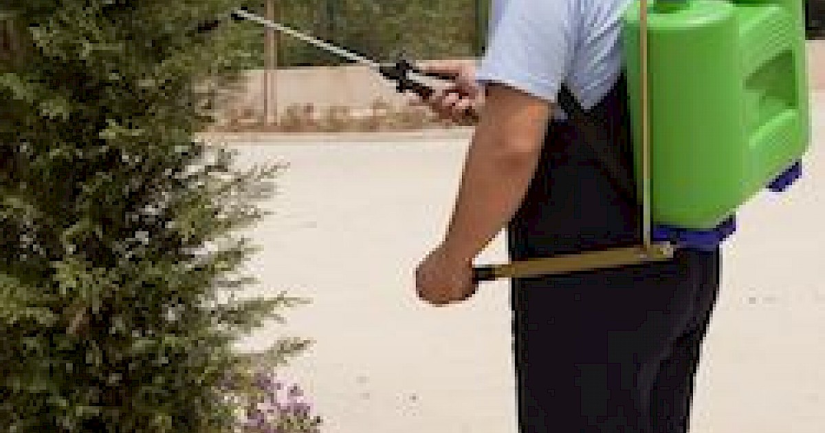 Spraying for Backyard Insects - Arizona Pest Control Tips