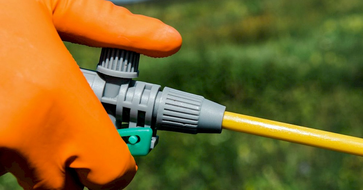 Pesticide Safety Tips | Pest Control Arizona