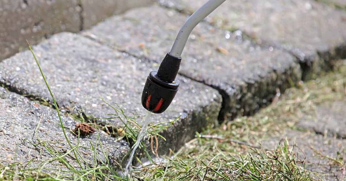 5 Reasons Why Early Weed Control is Important