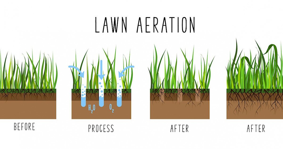 Lawn Aeration: Why, When and How to Do It?