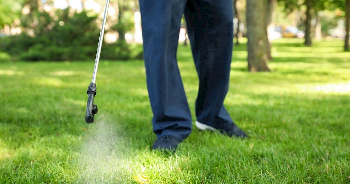 Signs You Need Professional Weed Control Services